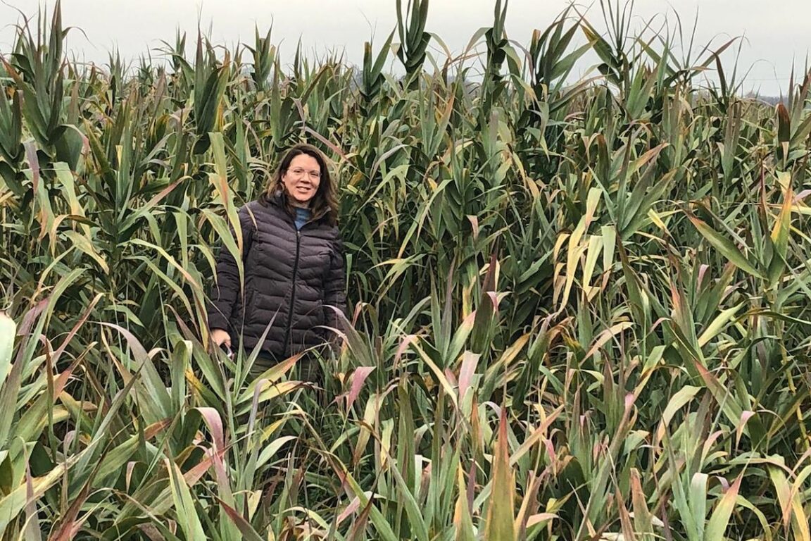 Shell GameChanger Powered by NREL